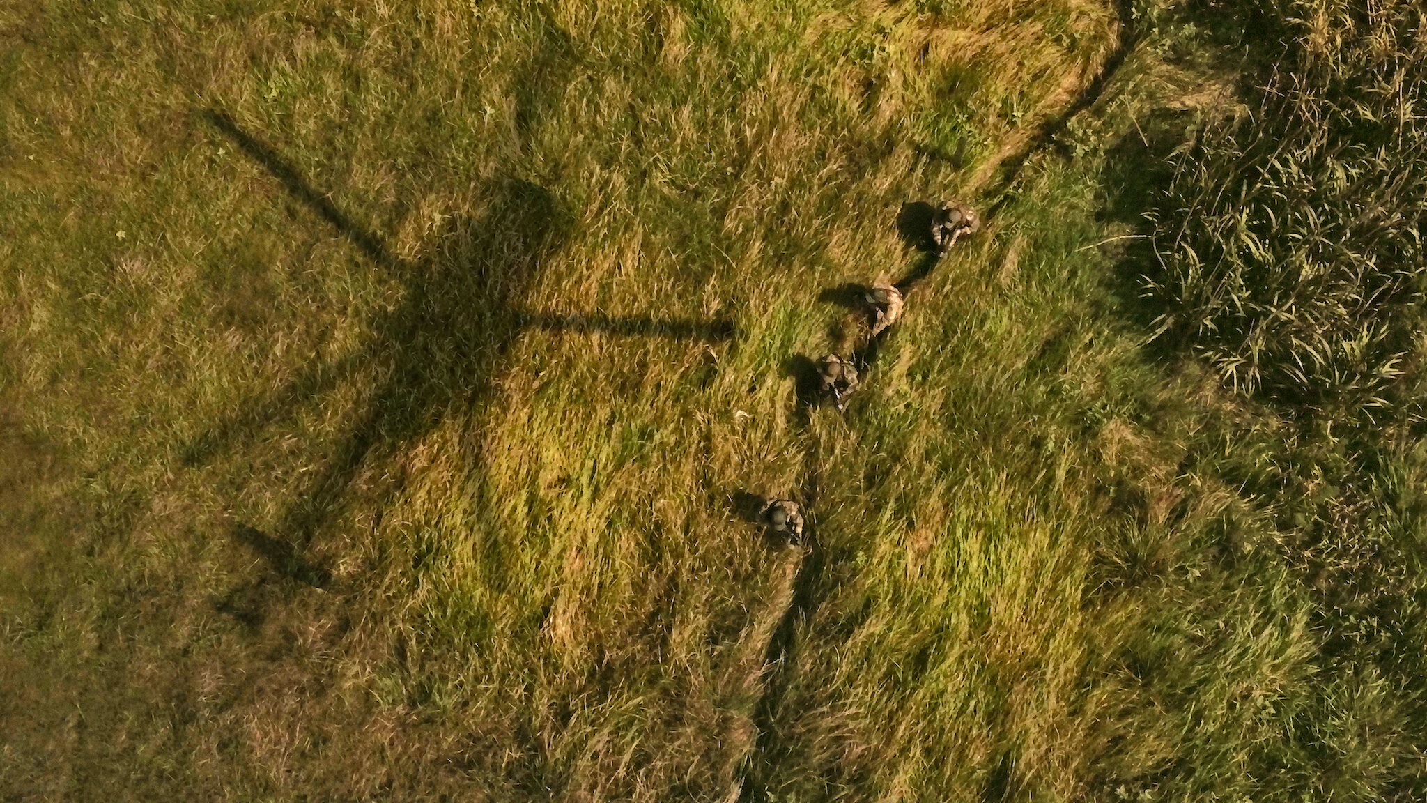 Watch The Last Runway | Netflix