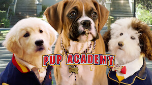 TV Shows | Netflix Official Site