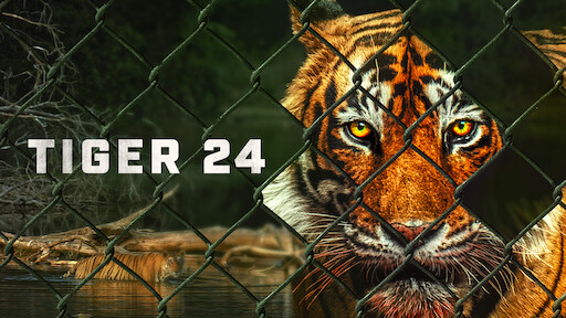 Watch Predators | Netflix Official Site