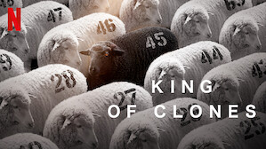 Movies | Netflix Official Site