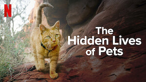 Docuseries | Netflix Official Site