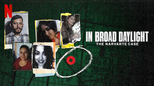 Watch The Masked Scammer | Netflix Official Site