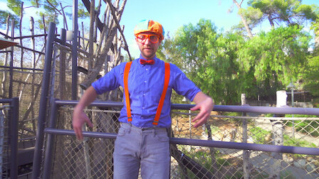 Watch Blippi | Netflix