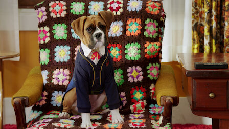 Watch Pup Academy | Netflix Official Site