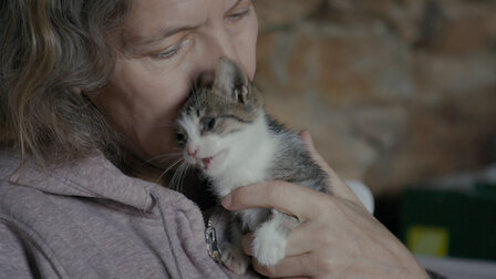 Watch Cat People | Netflix Official Site