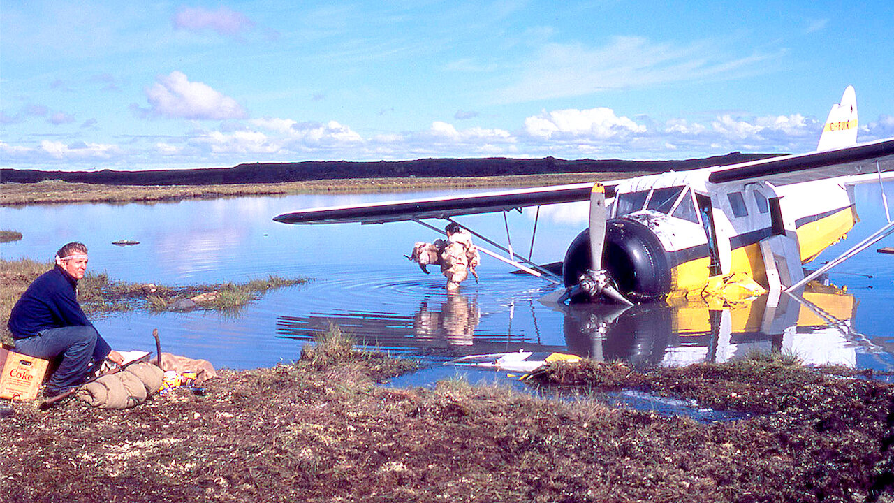 Watch The Snow Walker | Netflix