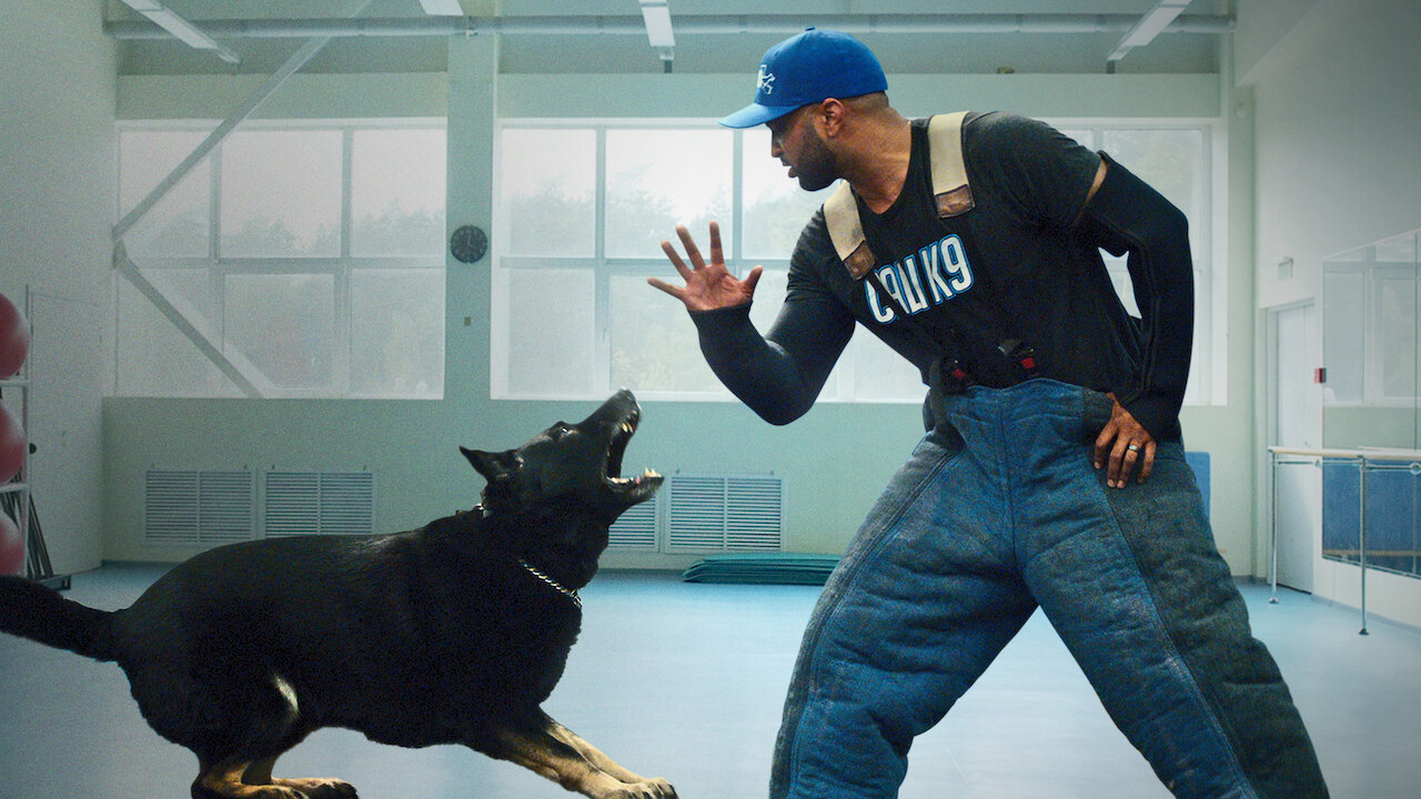 Watch Canine Intervention | Netflix Official Site