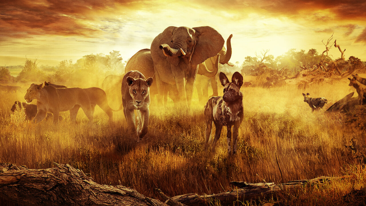 Watch Surviving Paradise: A Family Tale | Netflix Official Site