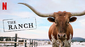 TV Shows | Netflix Official Site